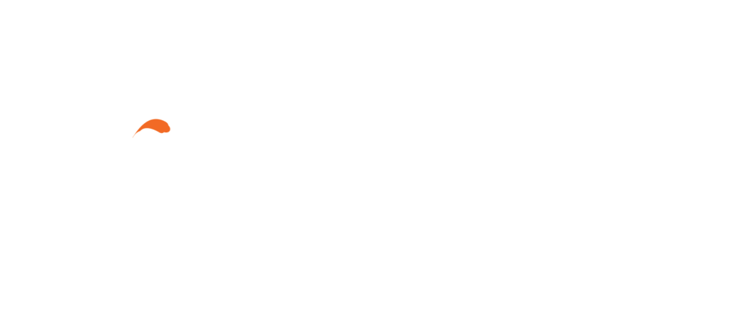 Pugo Graphic Design Studio - Branding & Marketing Designs