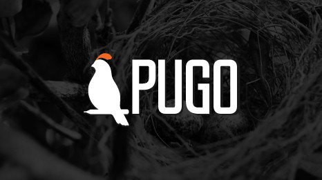 Pugo Graphic Design Studio - Branding & Marketing Designs